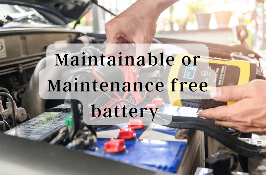 Maintainable or Maintenance Free battery?